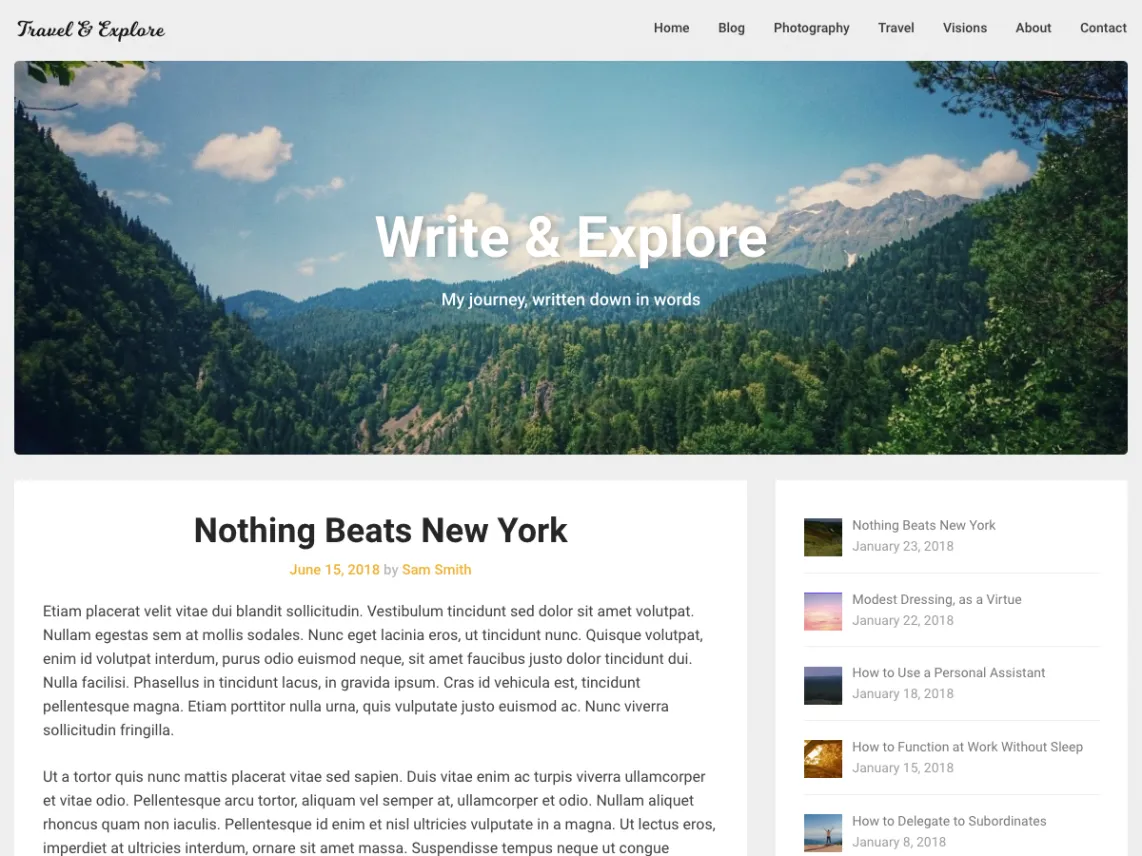 Best Free WordPress Blog Themes | Wishdesk